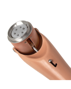 Mechanical - Elbows - Upper Limb