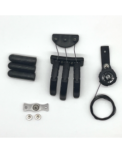 Fingers - Upper Limb